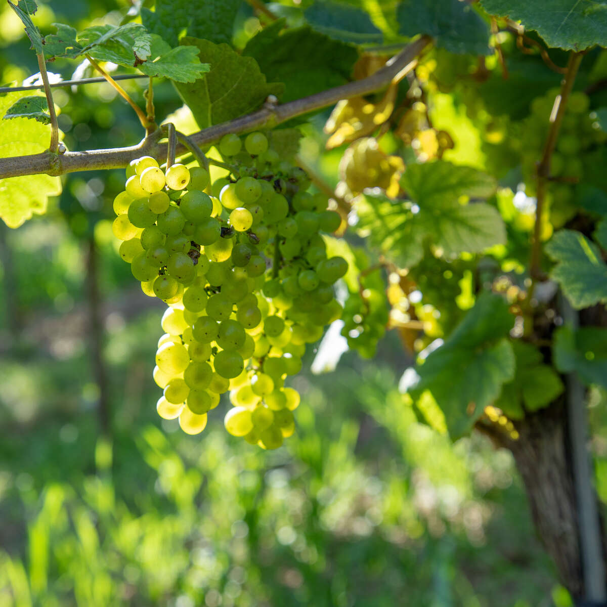 Unser Ort - Eisenheim